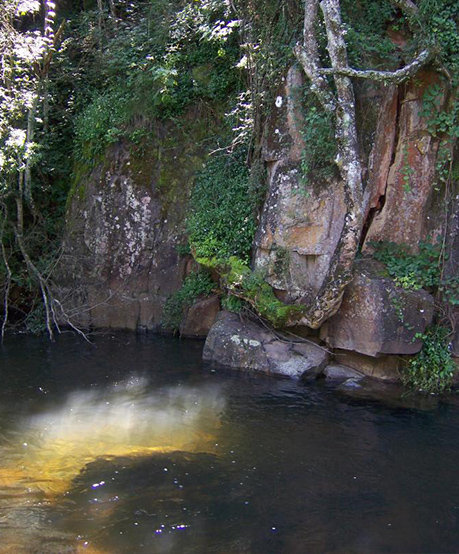 Walking Hiking Trails Mpumalanga Machadodorp Staproetes Eastern ...